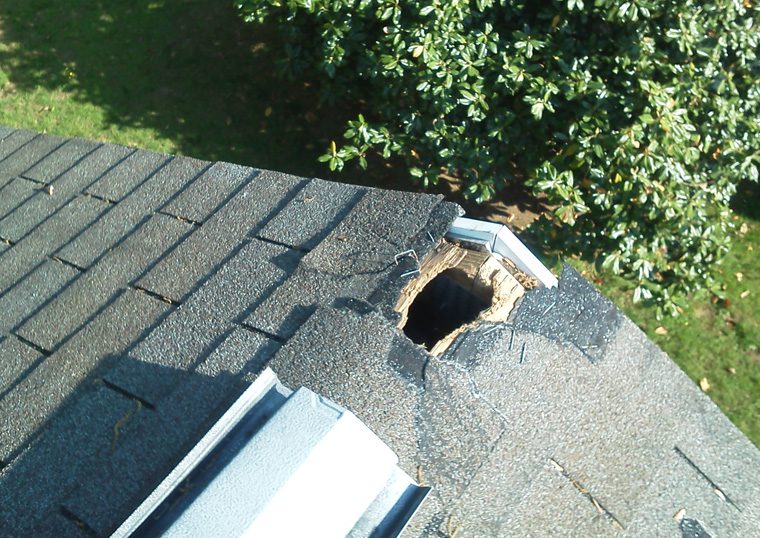 Animal Damage Repair | Damage Repair